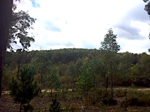 Sinclair Hill from Dementia Trail | Friends of Canadian Corridor