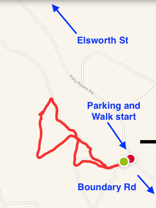 Wildflower Walk 2020 map | Friends of Canadian Corridor