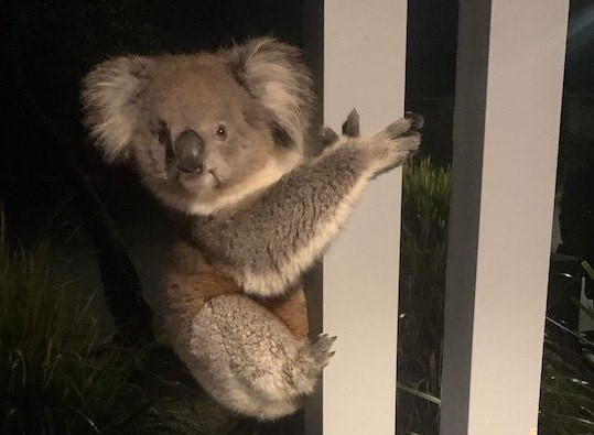 4h | Friends of Canadian Corridor