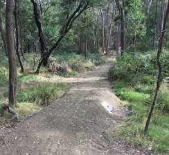 Location 1 – Lal Lal Drain culvert | Friends of Canadian Corridor