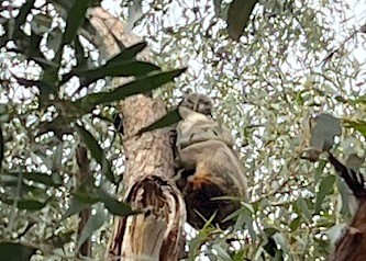 7f | Friends of Canadian Corridor